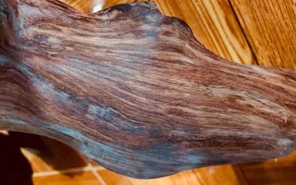 Gỗ hoàng đàn là gì? Tác dụng, ưu nhược điểm và giá gỗ hoàng đàn