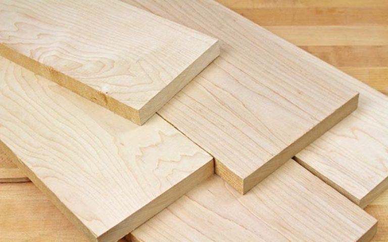 Gỗ maple là gì? Ưu nhược điểm và ứng dụng gỗ maple