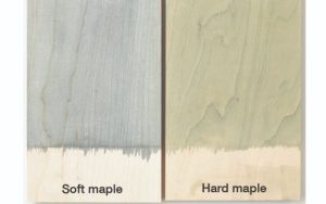 Gỗ maple là gì? Ưu nhược điểm và ứng dụng gỗ maple
