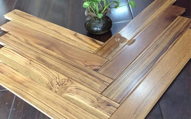 Gỗ Teak là gỗ gì? Ưu nhược điểm và tác dụng của gỗ teak