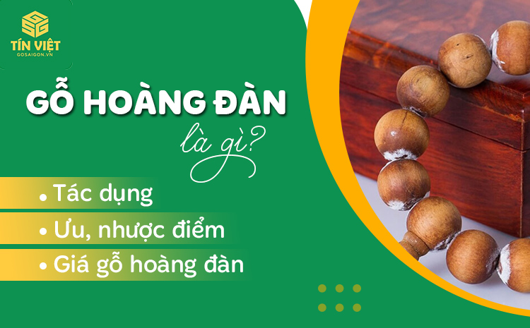 Gỗ hoàng đàn là gì? Tác dụng, ưu nhược điểm và giá gỗ hoàng đàn