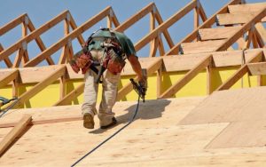 Gỗ Vân Sam là gì? Có tốt không? Ưu nhược điểm