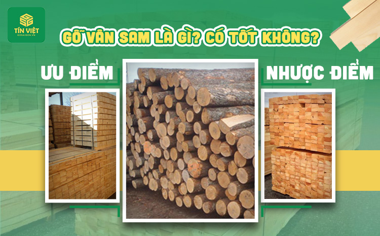 Gỗ Vân Sam là gì? Có tốt không? Ưu nhược điểm