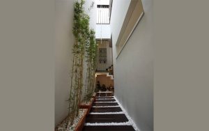 Giếng trời là gì? Cách thiết kế giếng trời đẹp