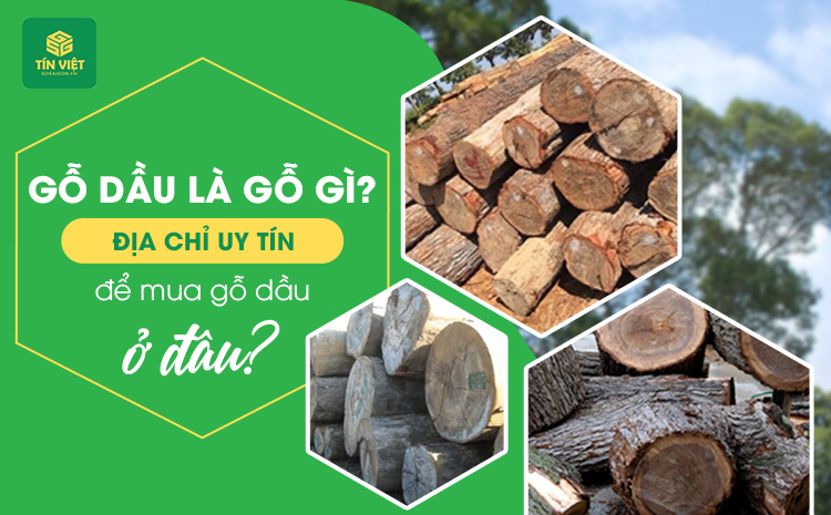 Gỗ dầu là gỗ gì? Địa chỉ uy tín để mua gỗ dầu ở đâu?