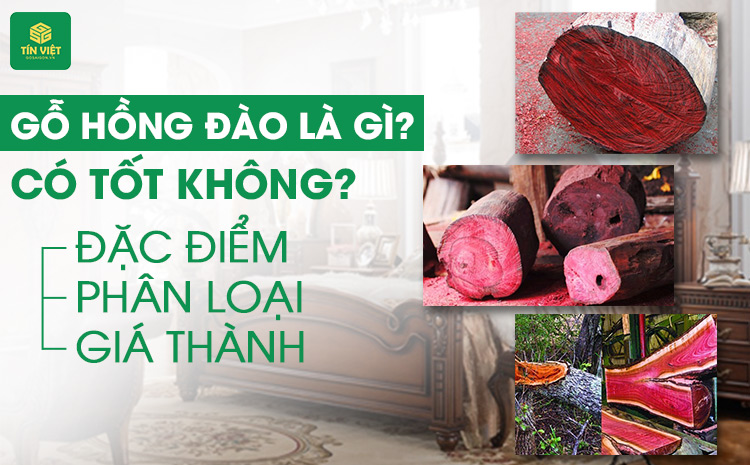 Gỗ Hồng Đào là gì? Có tốt không? Đặc điểm, phân loại, giá thành và ứng ...