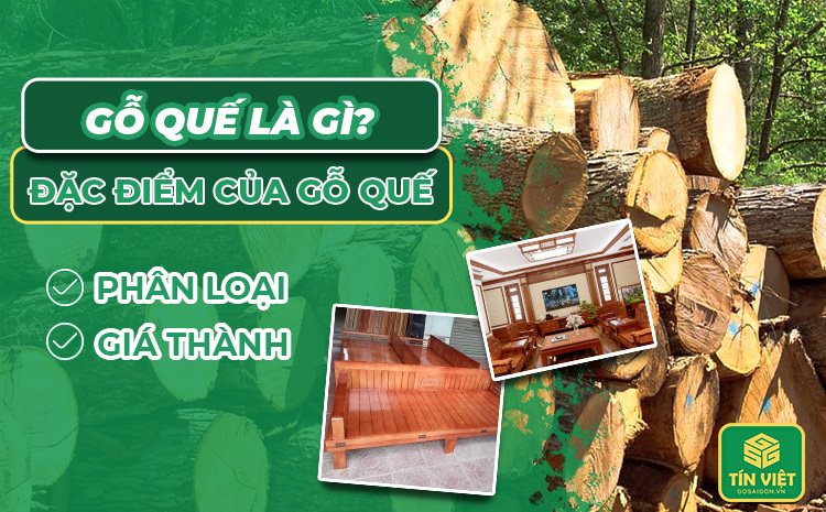 Gỗ quế là gì? Ưu nhược điểm, giá thành và ứng dụng của gỗ quế - CÔNG TY ...