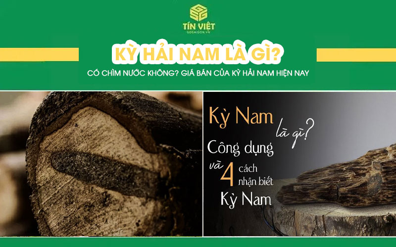 Kỳ Hải Nam là gì? Có chìm nước không? Giá bán của Kỳ Hải Nam hiện nay - CÔNG TY TNHH GỖ SÀI GÒN ...